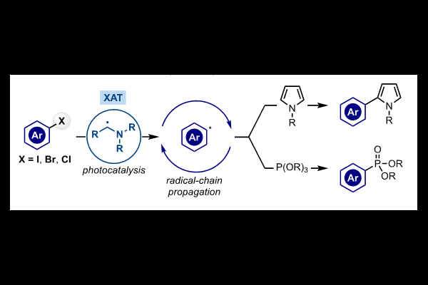Nitrogen radical chemistry sees the light | Research | Chemistry World